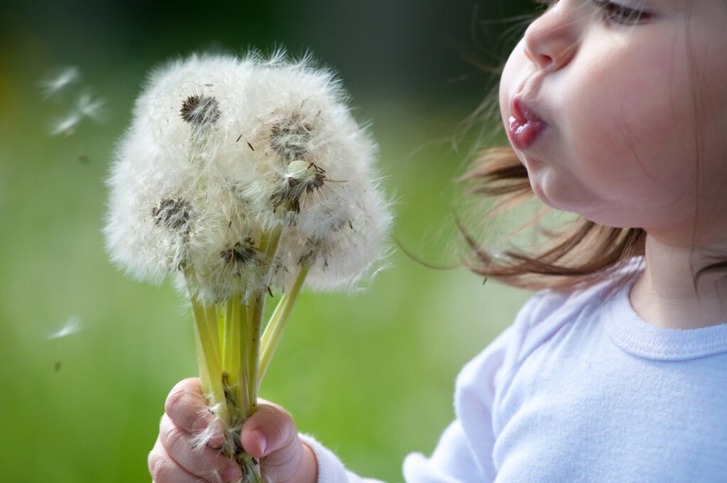 Kindertagesstätte Pusteblume – Caritas Salzgitter